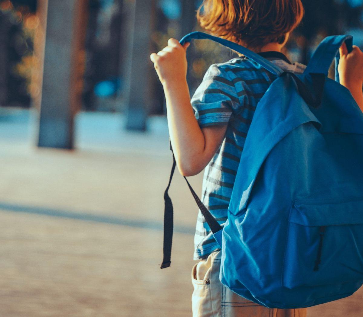 Every Third School in Vilnius Lies in a High Air Pollution Zone, FTMC ...