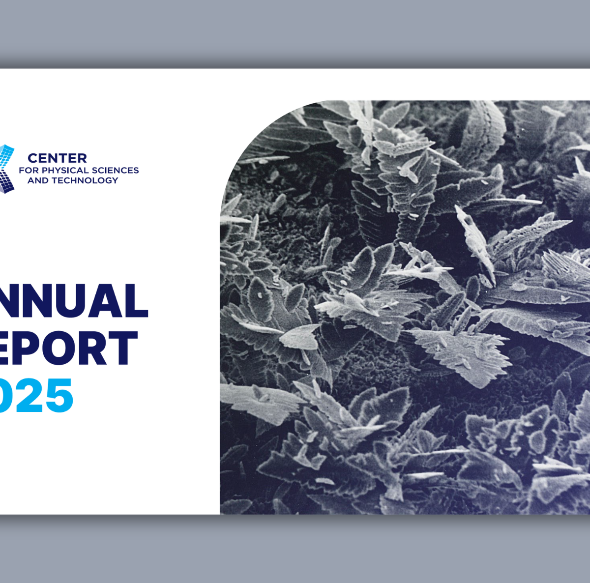 Now Available: Explore the FTMC Annual Report 2025!